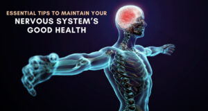 Essential tips to maintain your nervous system’s good health